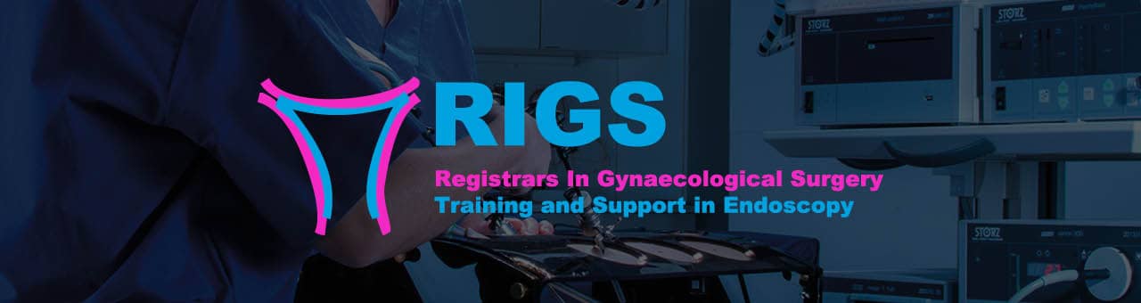 BSGE RIGS HUB National Training Programme 2025 | BSGE