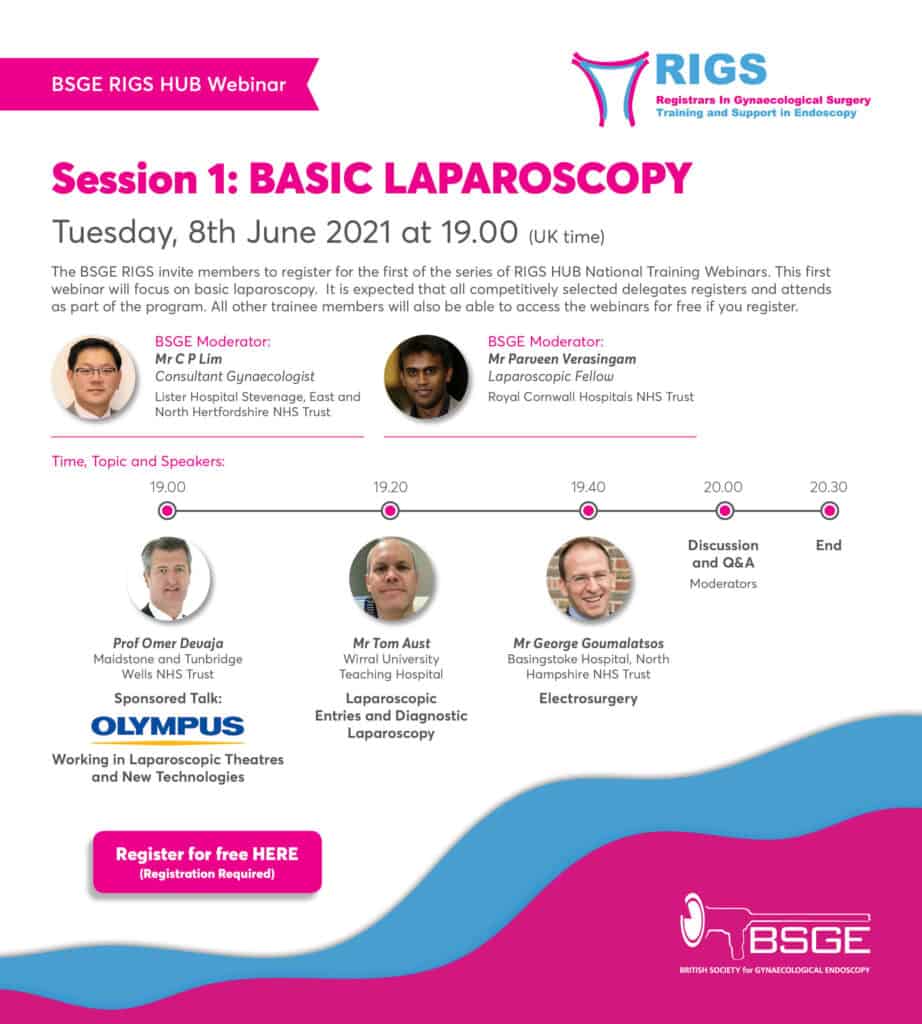 RIGS HUB Webinar on June 8th | BSGE