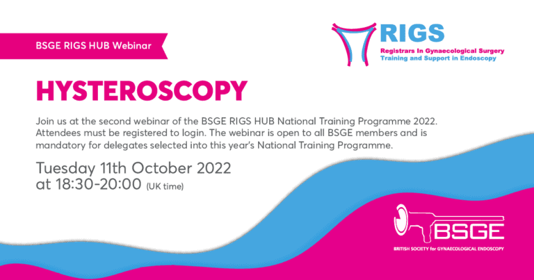 BSGE RIGS HUB National Training Programme - BSGE