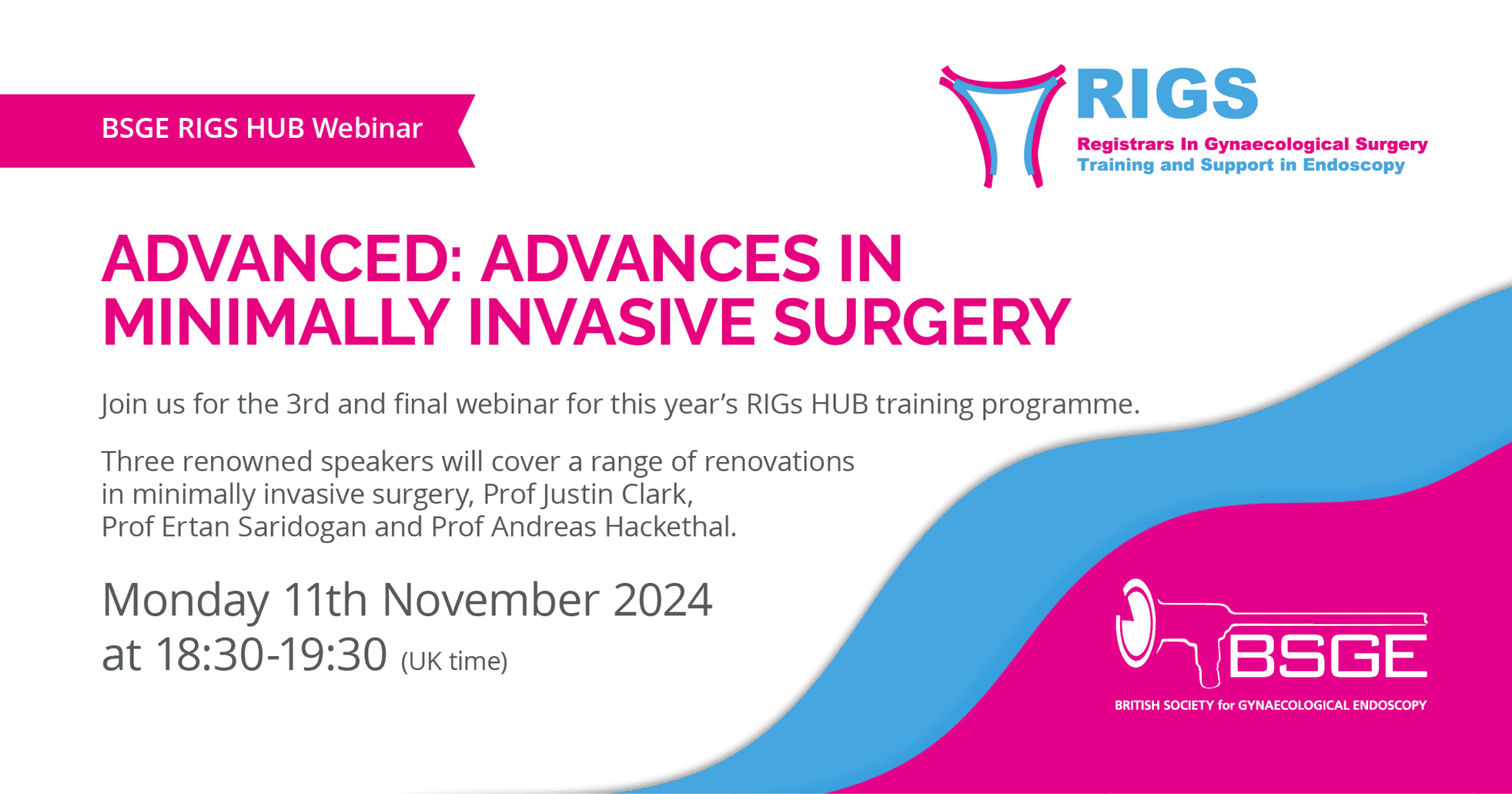 BSGE RIGS HUB National Training Programme 2024 | BSGE